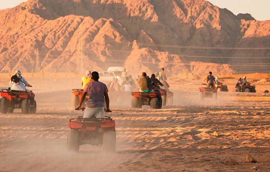 Mini Safari Quad - Hurghada Dream